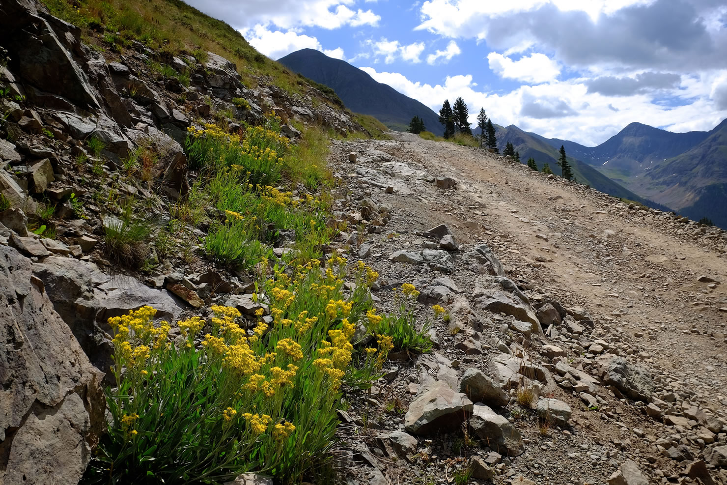 The Alpine Loop, Colorado - BIKEPACKING.com