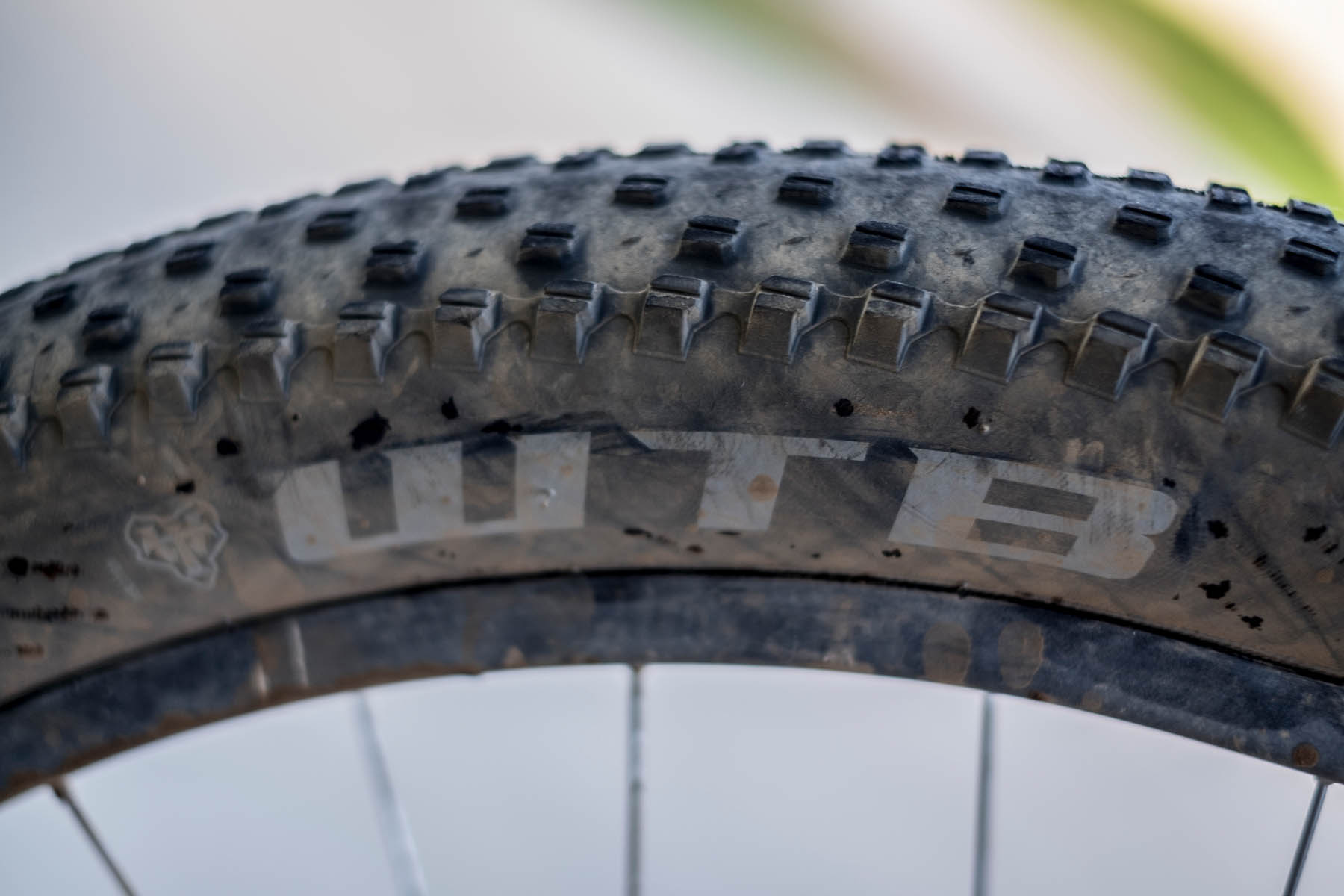 WTB Ranger Review, 29+, 3.0, TCS Tough - BIKEPACKING.com