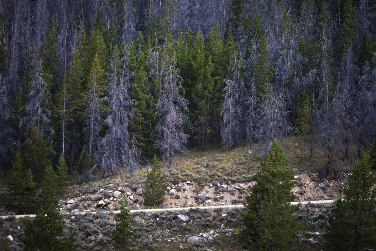 Great Divide Mountain Bike Route (GDMBR) - BIKEPACKING.com