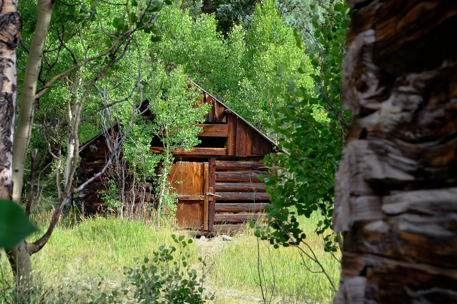 The Alpine Loop, Colorado - BIKEPACKING.com