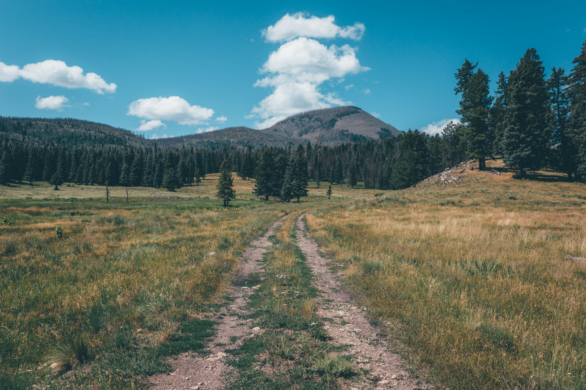 Valles Caldera Explorer, New Mexico - BIKEPACKING.com