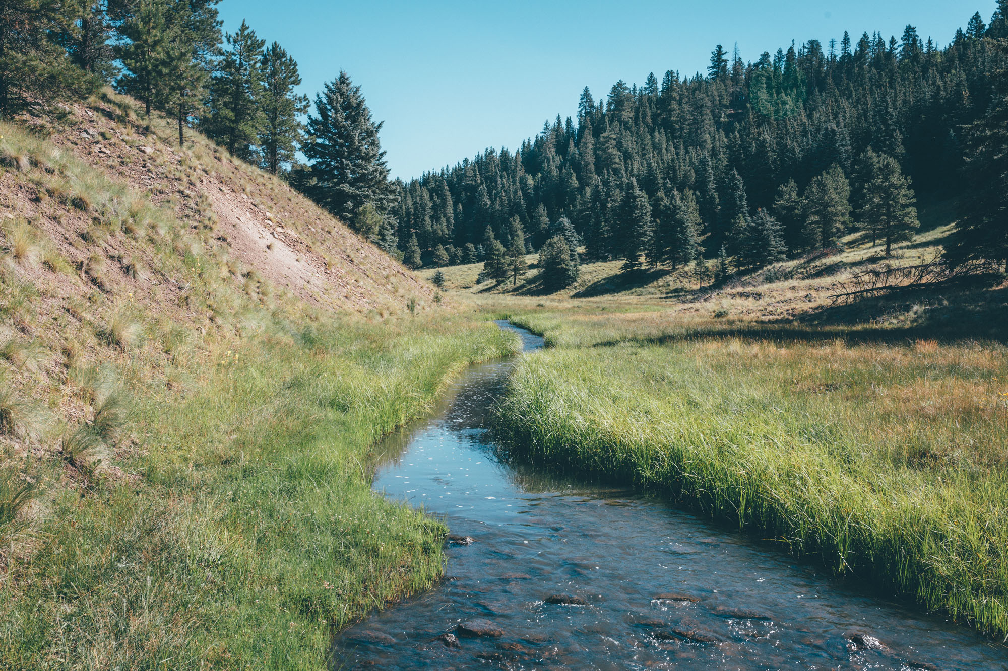 Valles Caldera Explorer, New Mexico - BIKEPACKING.com