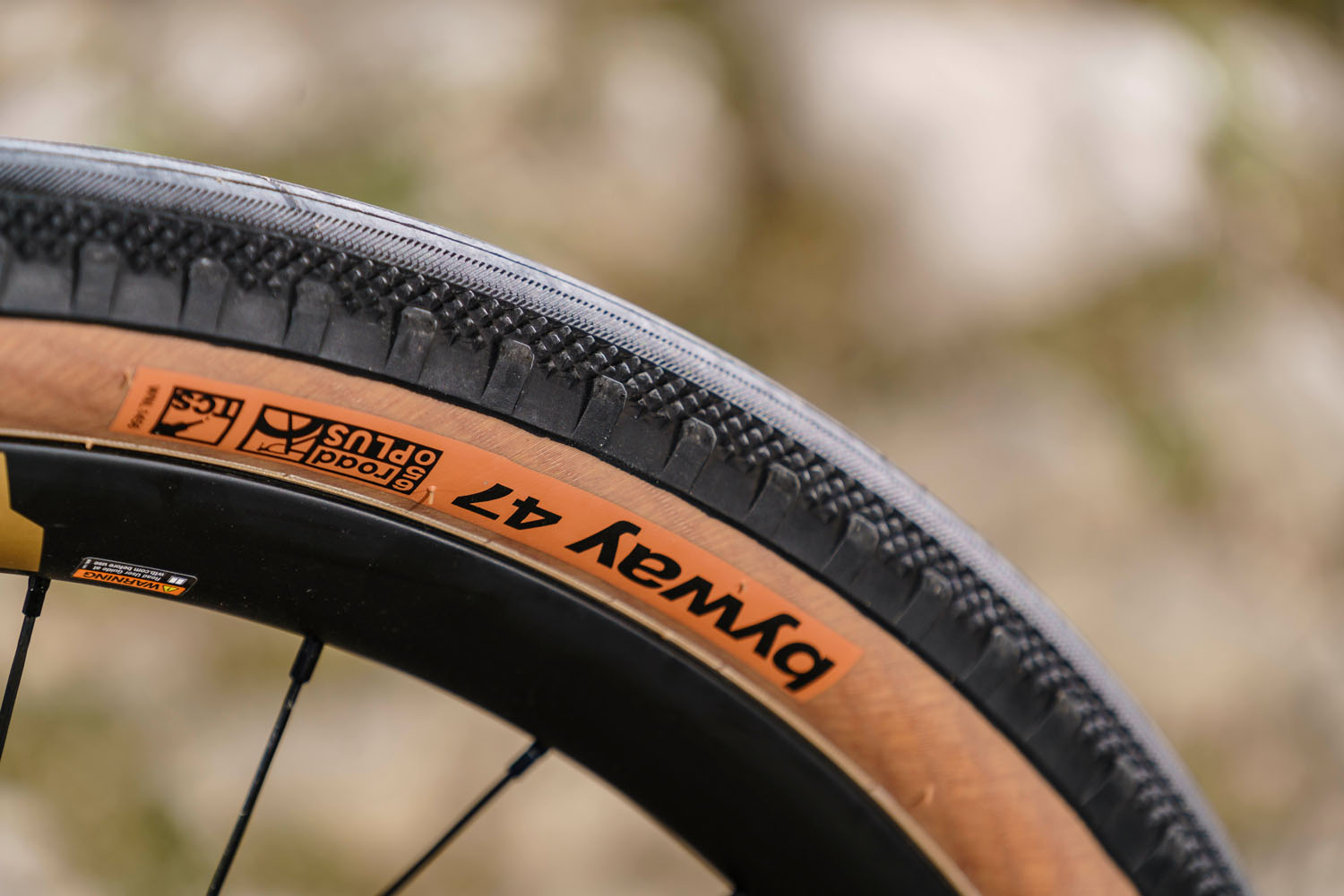 WTB Introduces the Dirt-Centric Byway 650B 47mm Tire - BIKEPACKING.com