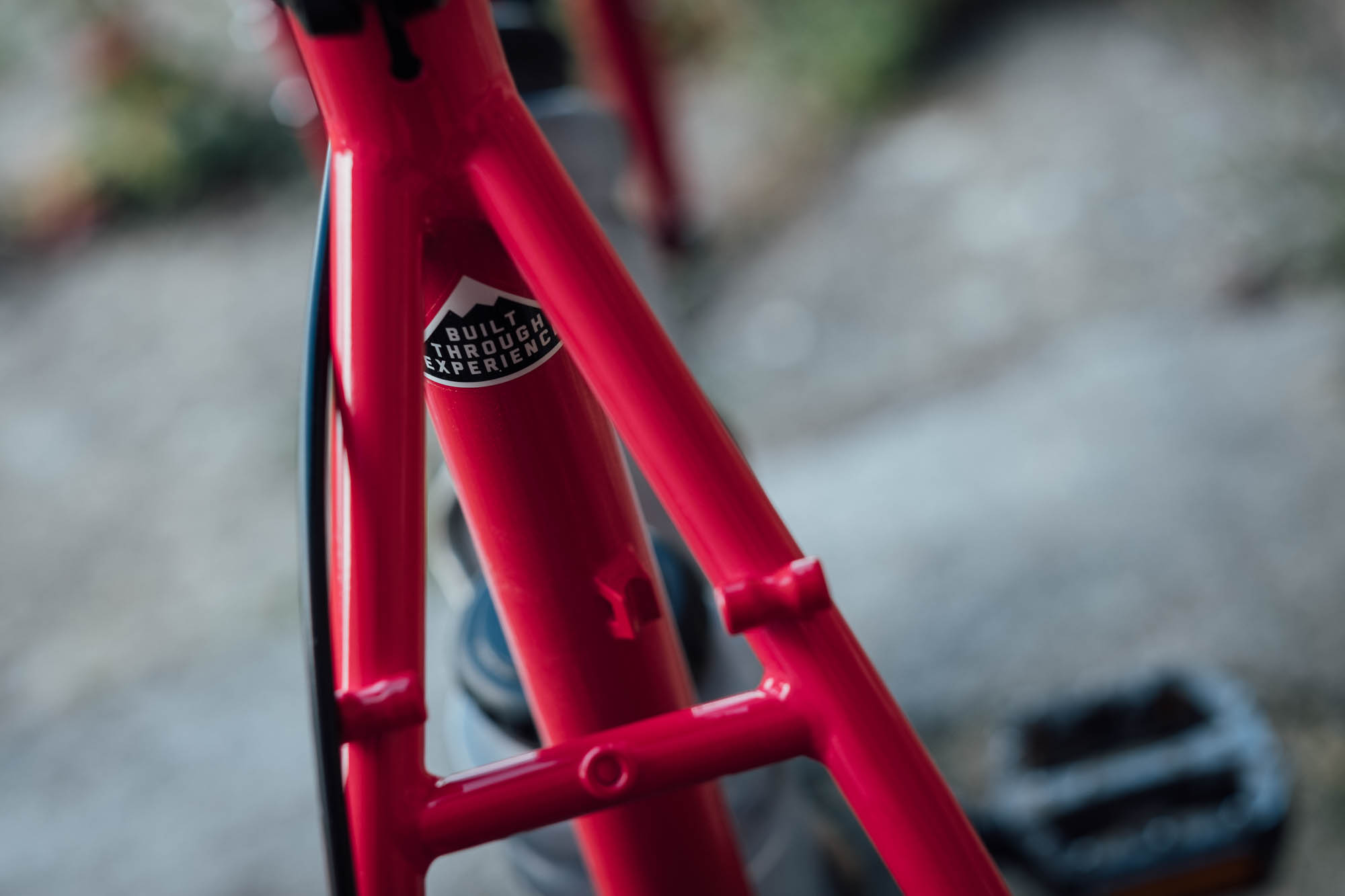 Brother Cycles Big Bro Review - BIKEPACKING.com